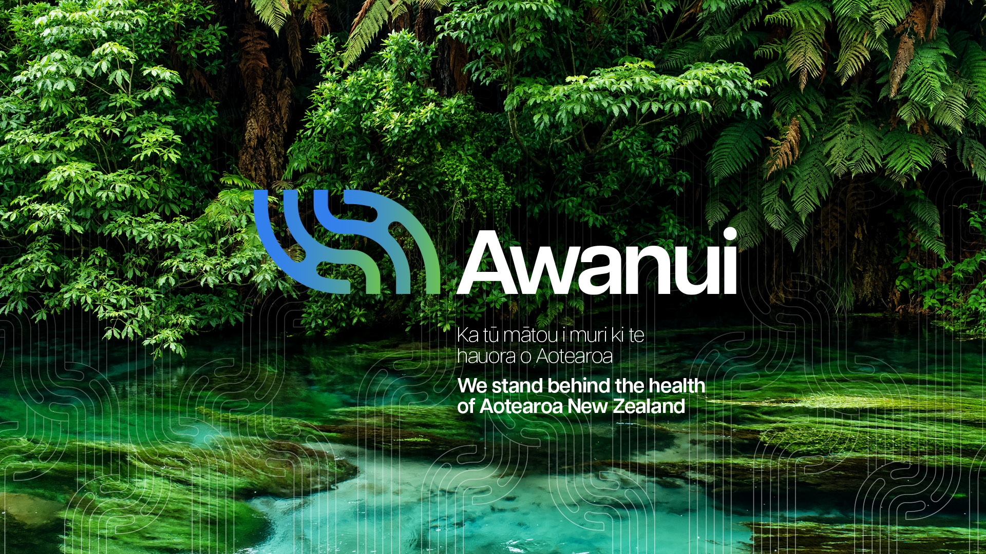 Awanui | Case Study - Ocean Design